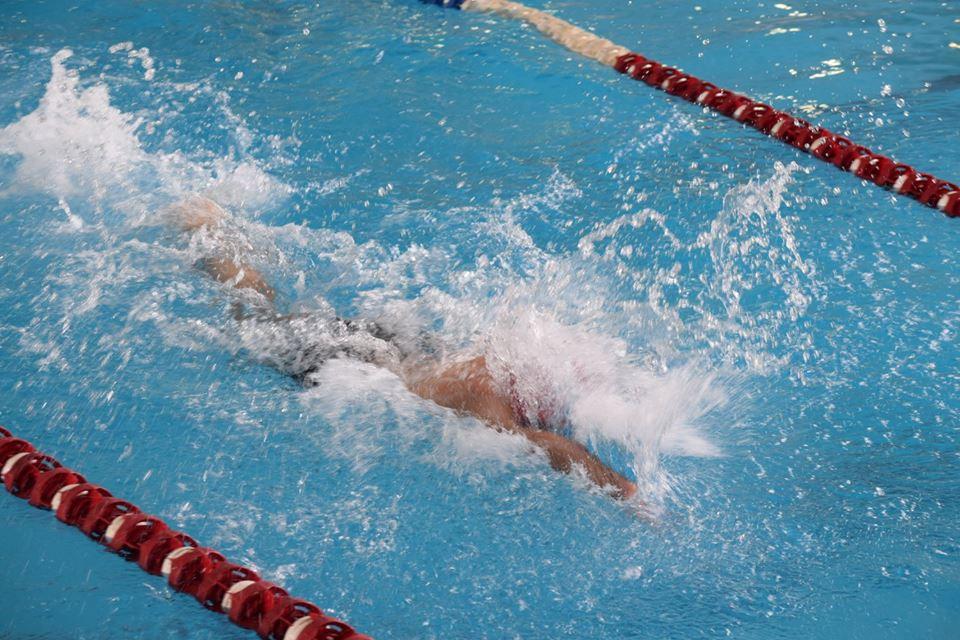 Fotos 2016 - Ecoswim